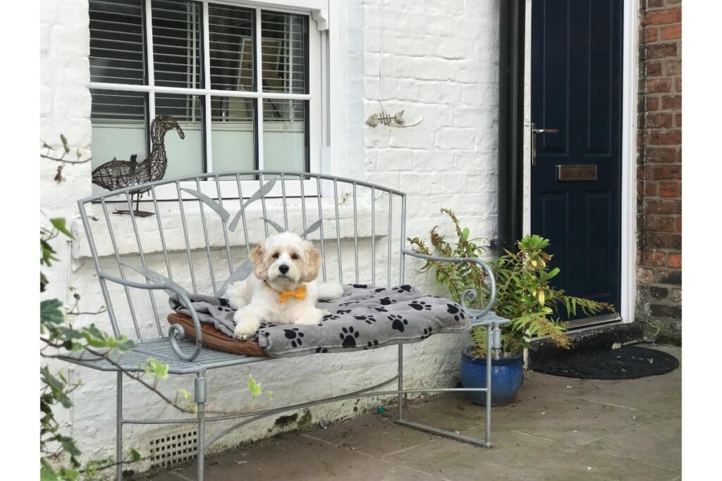 Welcome to Vitty's Cottages – Welcome to Vitty's Cottages Whitby & Sandsend